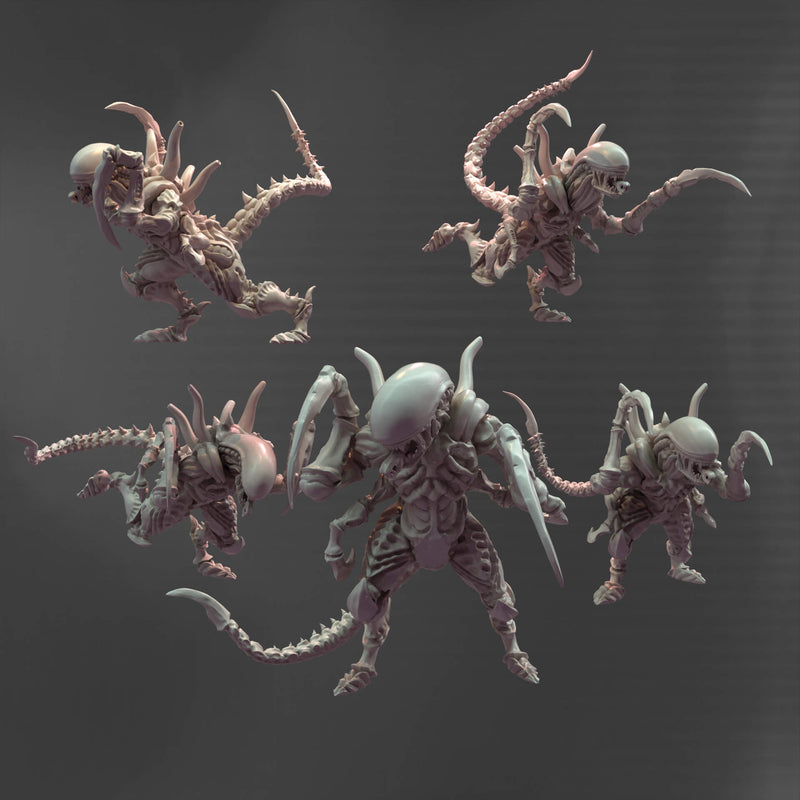 Xenonid Raptor Brood | Major Minis